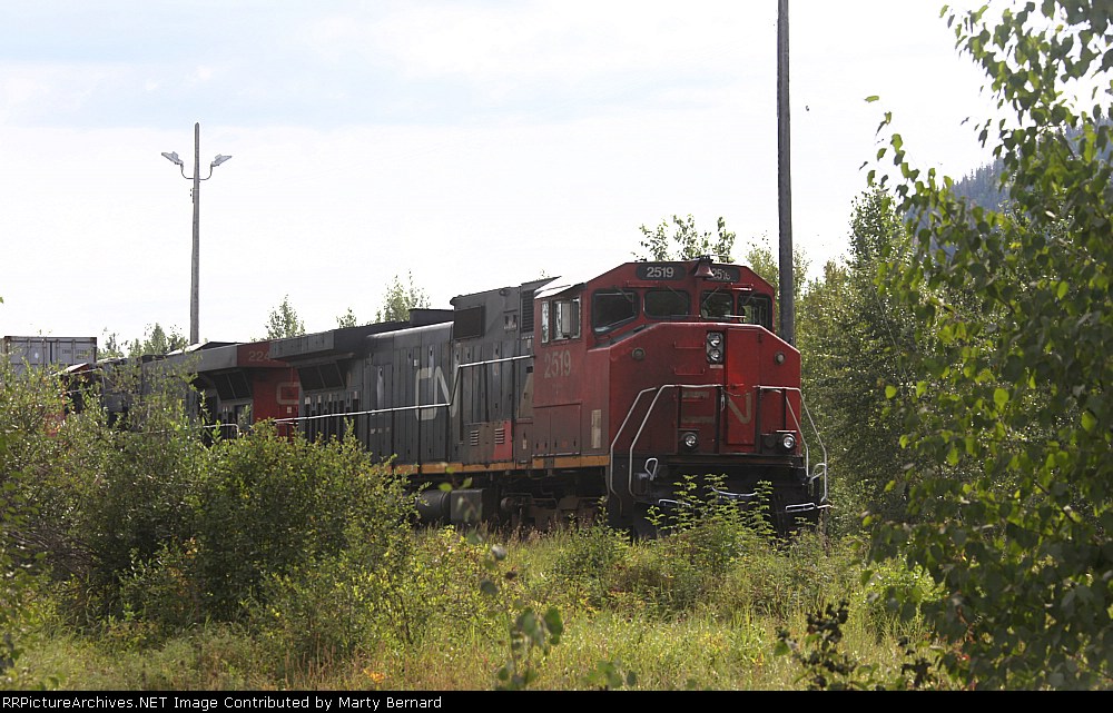 CN 2519